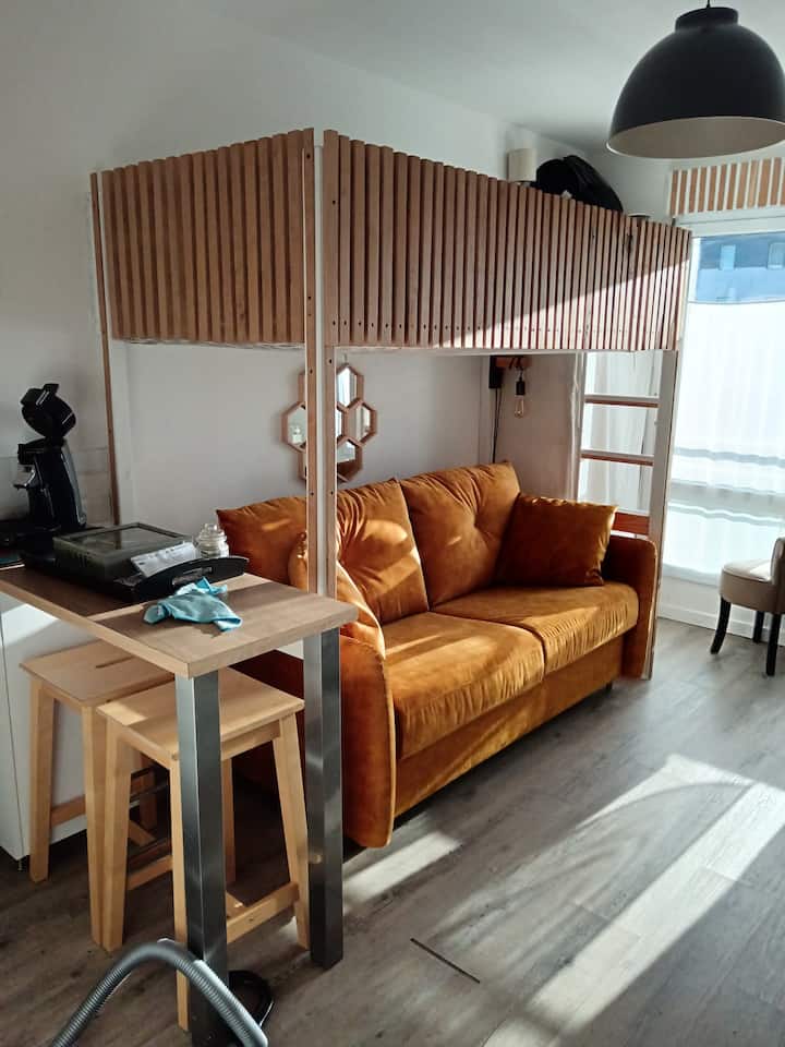 Studio Angers Centre Bichon Chu & Parking & Wifi - Angers