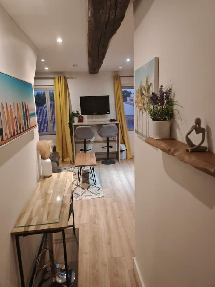 Studio Cosy "Le Petit Basque" - Montpellier