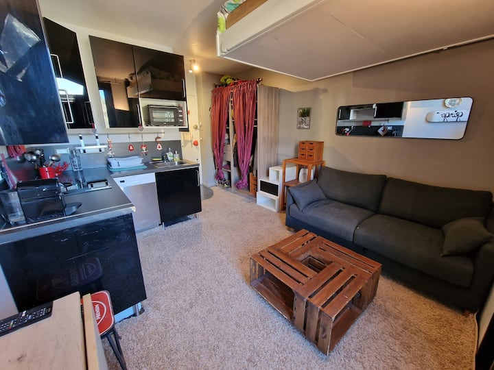 Appartement De Charme La Lombarde (16 M2) - Isola