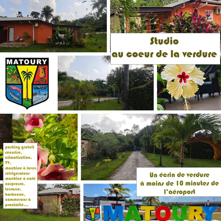 Studio Indépendant Au Coeur De La Verdure - French Guiana