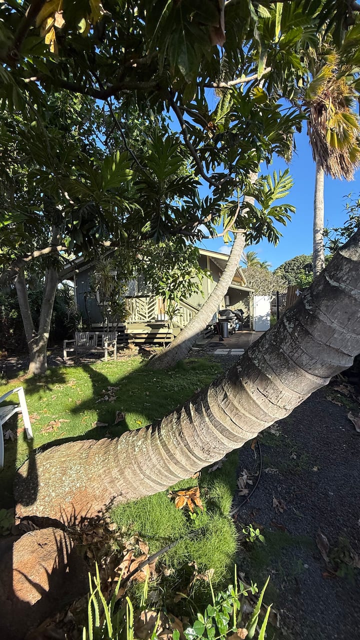 Kuau Beachy Family Cottage Maui - Paia, HI