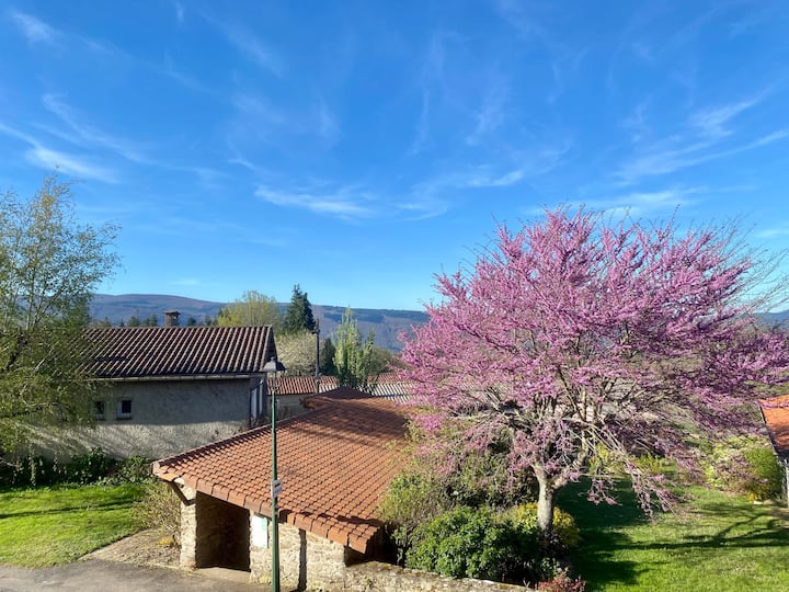 Appartement Magnifique ! - Mazamet