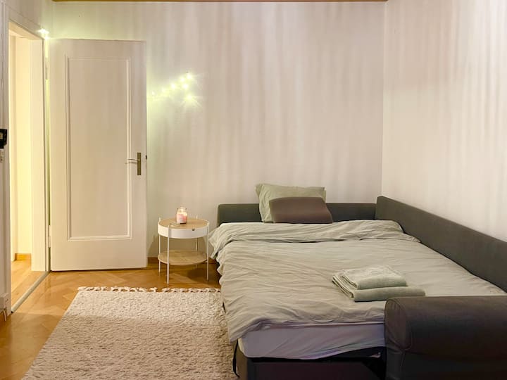Cozy Room Zürich - Zurich