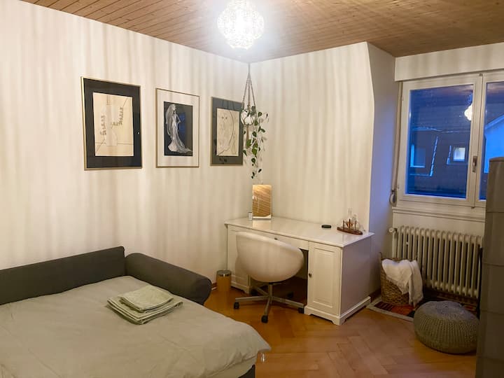 Cozy Room Zürich - Zürich