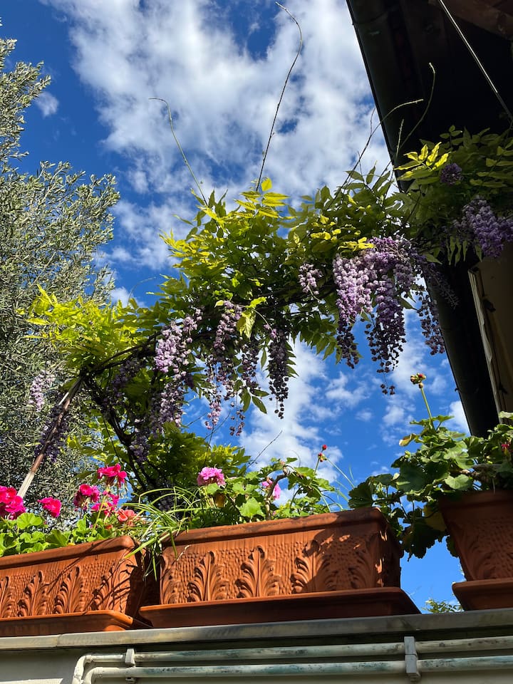 Casa Antica Vicino Al Mare Nel Verde Finale Ligure - Finale Ligure
