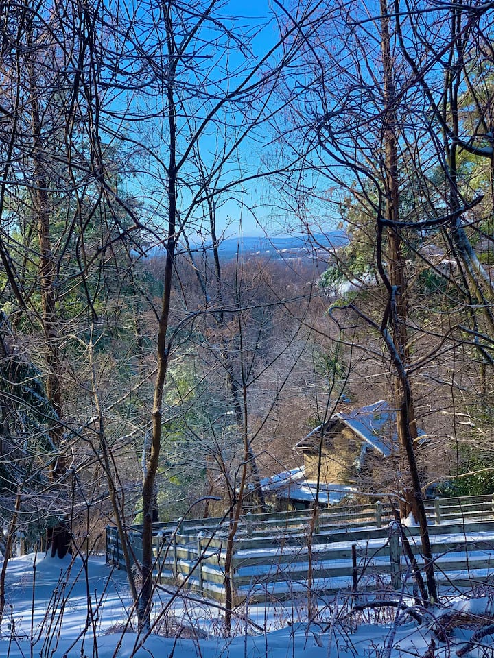 Camp Nelson Wooded Mountainside Retreat - Lovettsville, VA