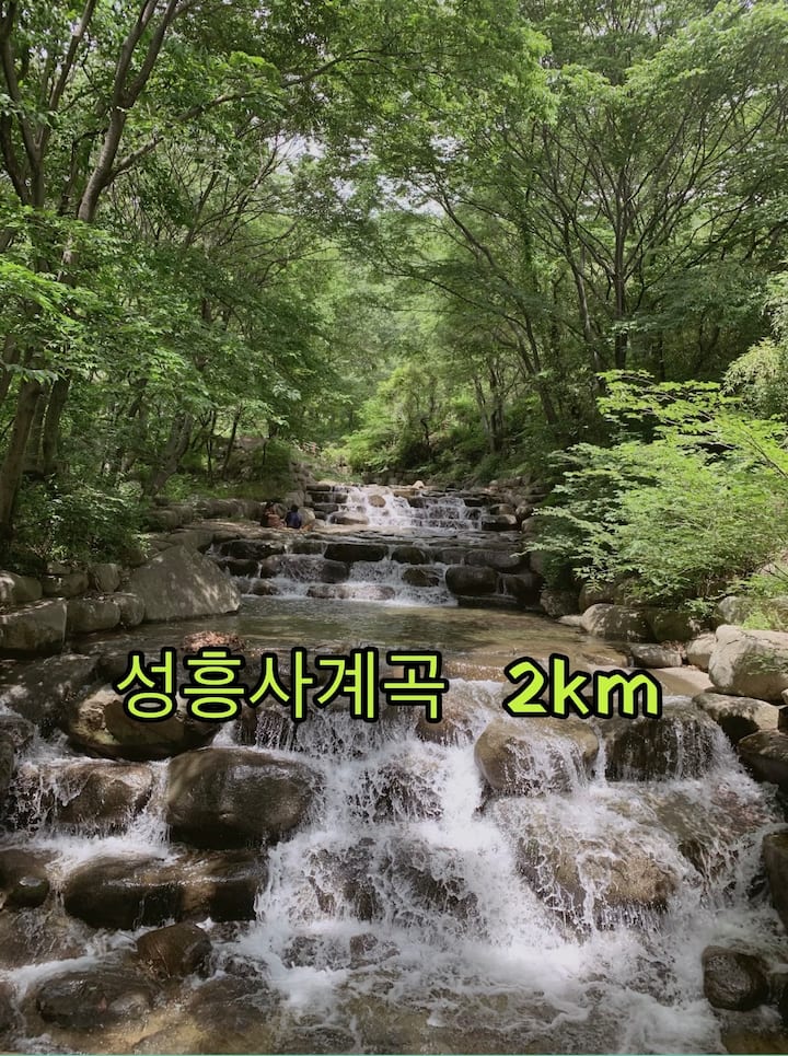 마당넓은집 - 장유2동