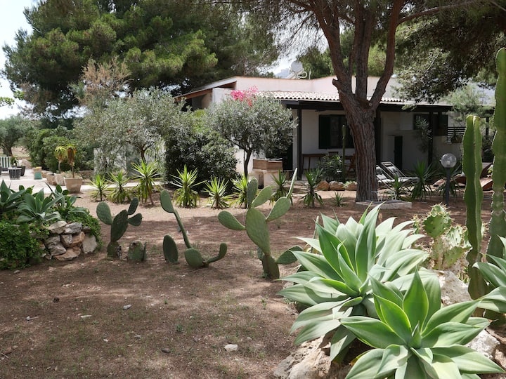 "At-my-place"casaulivosetteminne Naturamare Seniab - Favignana