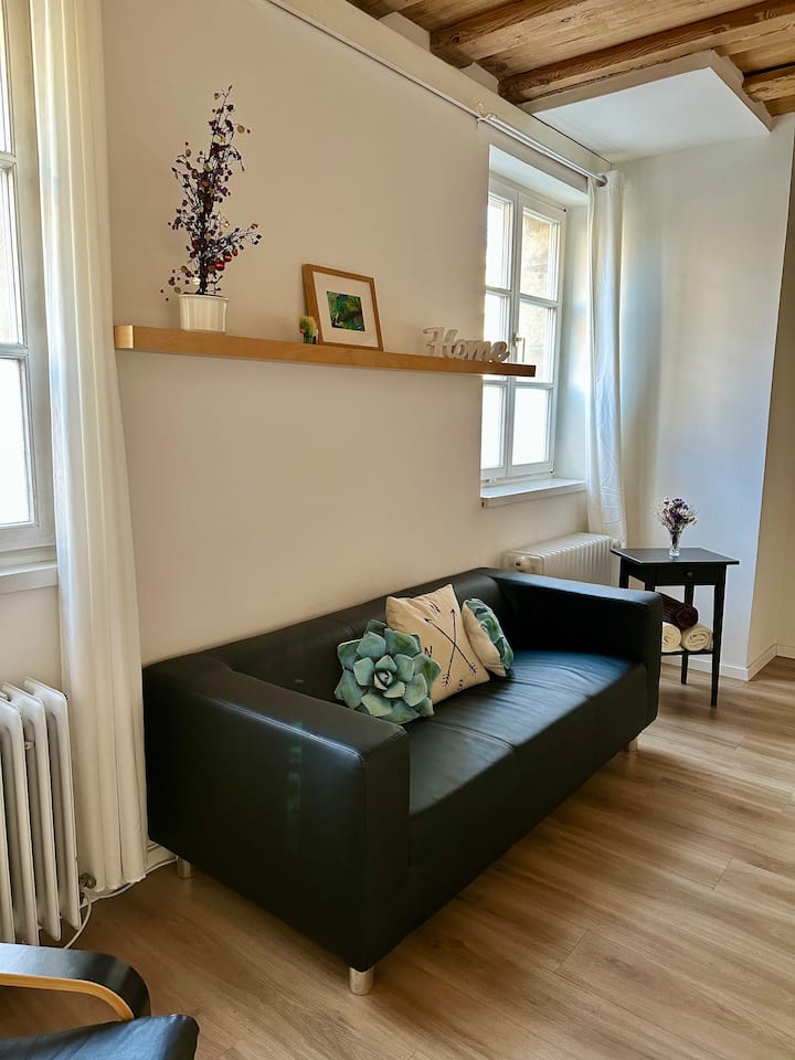 Fachwerkwohnung Im Zentralen Viertel - Núremberg
