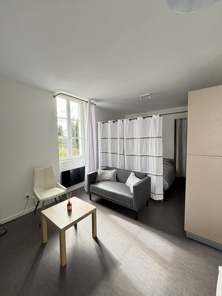 Secteur Trespoey-appartement T1bis Standing - Pau