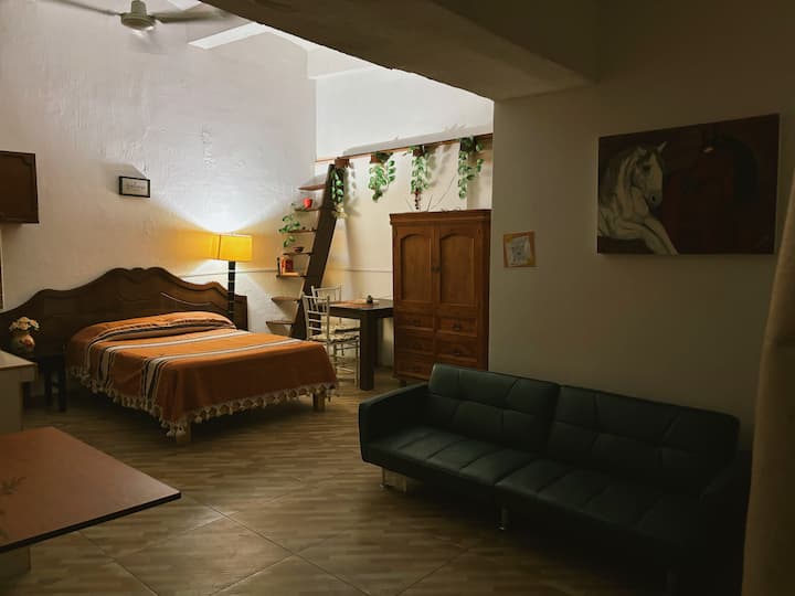 Private Loft In The Center Of Oaxaca - Oaxaca