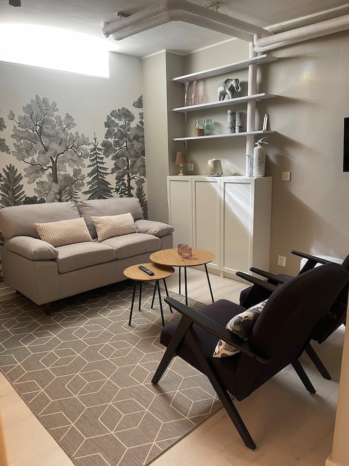 Nyrenoverad Lägenhet I Villa, Centralt Läge - Sollefteå