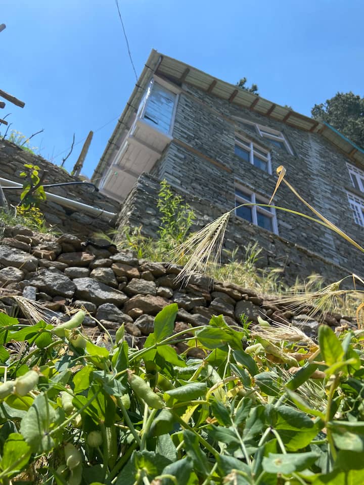 Raldang Himalayan Home Stay (Eco-friendly Home) - Kalpa