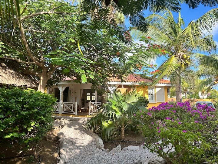 Tropisch Paradijs: Villa Jan Thiel Curaçao - Curaçao