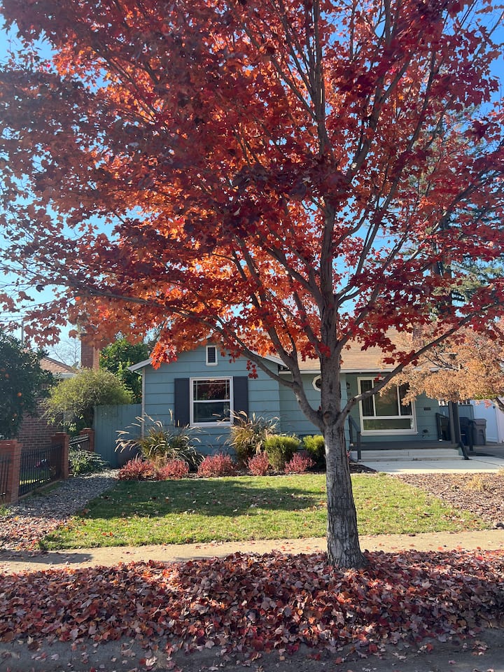Lila's Little House - Sacramento, CA