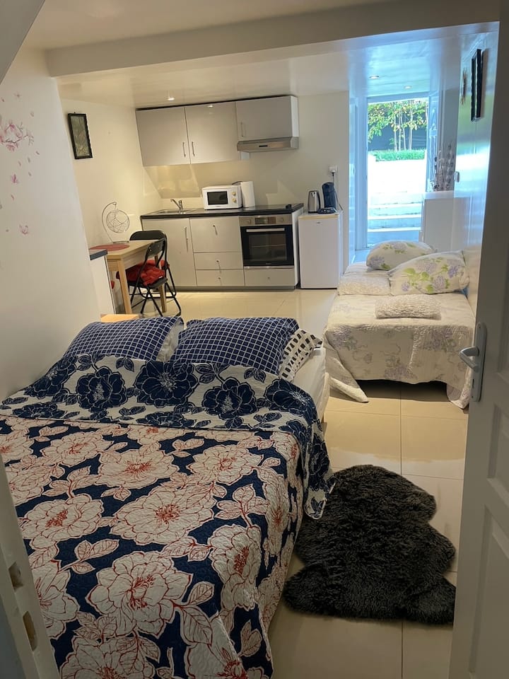 Studio Indépendant Dans Une Maison - Champigny-sur-Marne