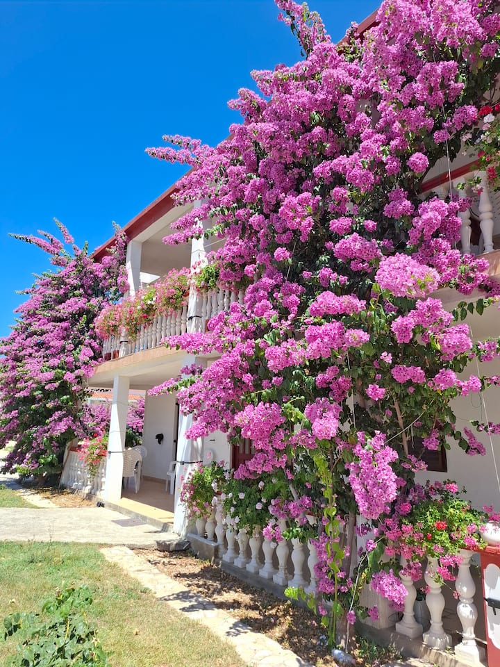 Apartmani Ankica - Nin
