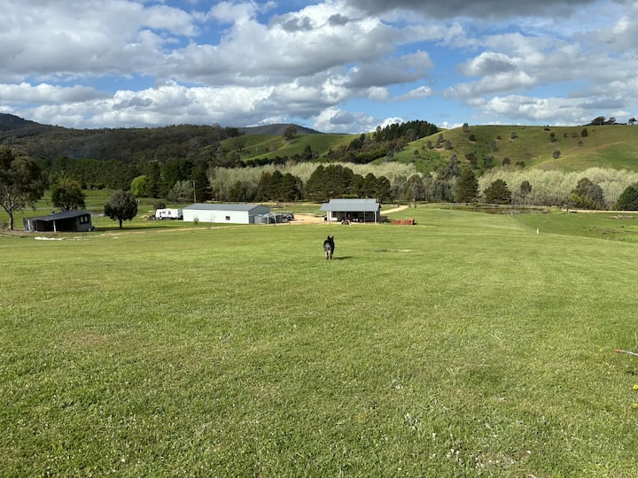 Pet-friendly, Huge Deck With Epic Views & Fire Pit - Bonnie Doon