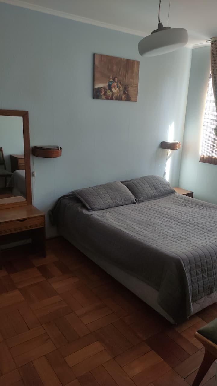 Très Bel Appartement Vintage Au Centre De Santiago - Santiago (Chile)