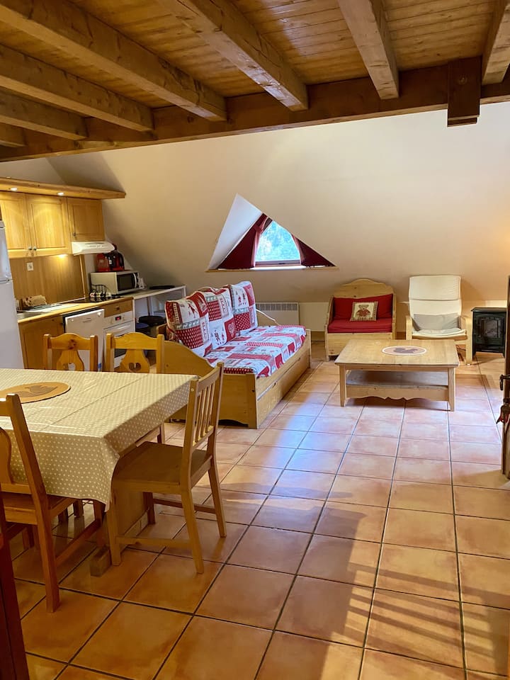 T2 Mezzanine à Pra Loup 1500 - Pra-Loup