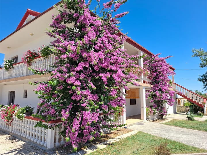 Dvosoban Apartman - Nin