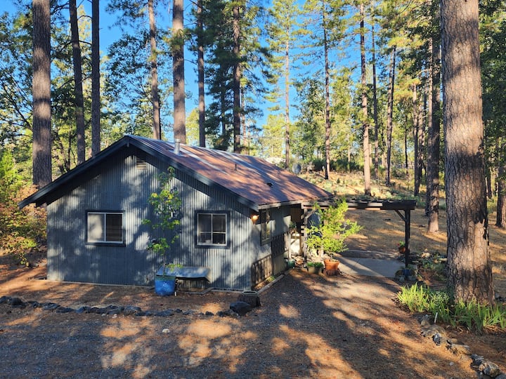 Forest Cottage Retreat - 