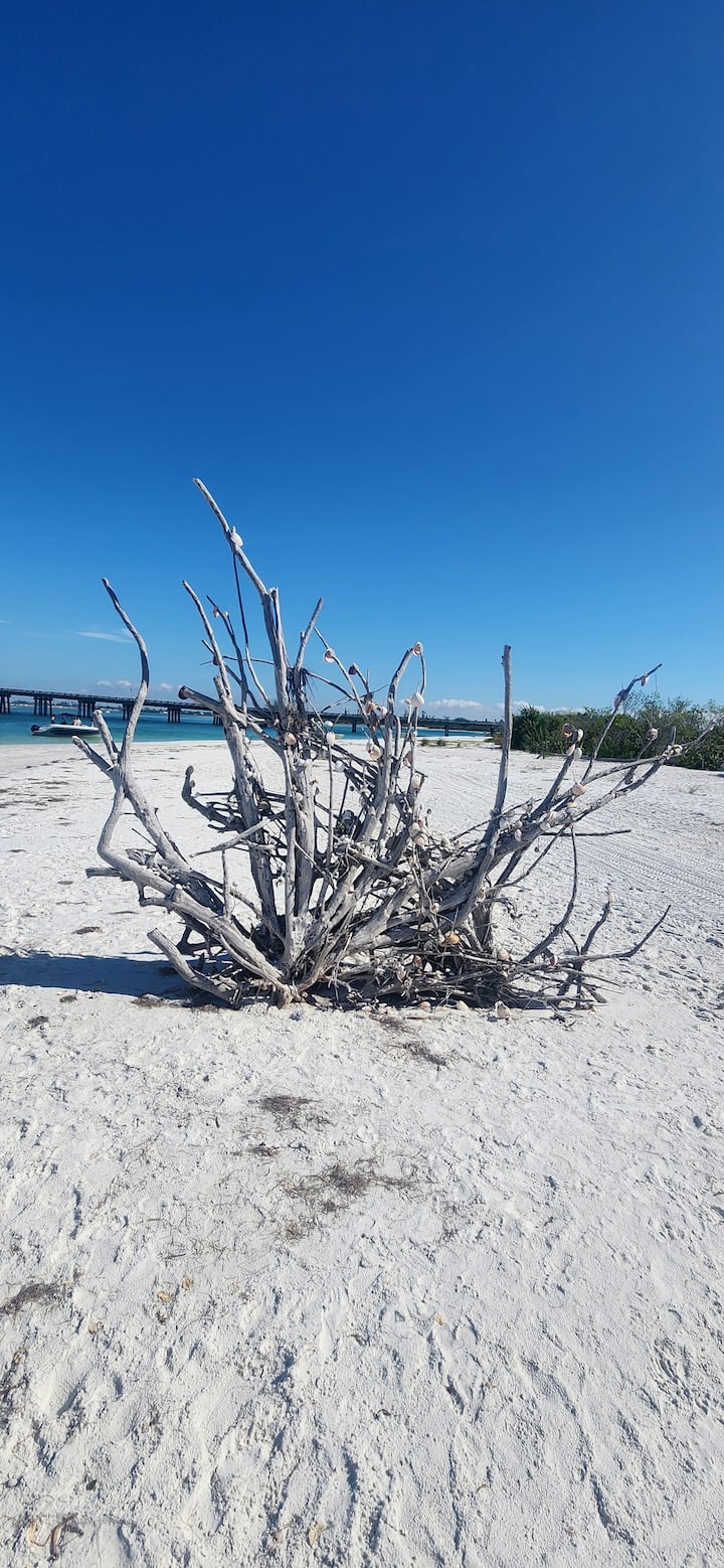 The Shellshack, 4 Br/2ba, Near Ami Beaches - Anna Maria Island, FL