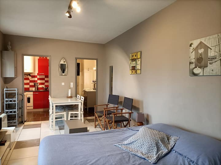 Studio  3* Au Pied Des Thermes. - Charente-Maritime