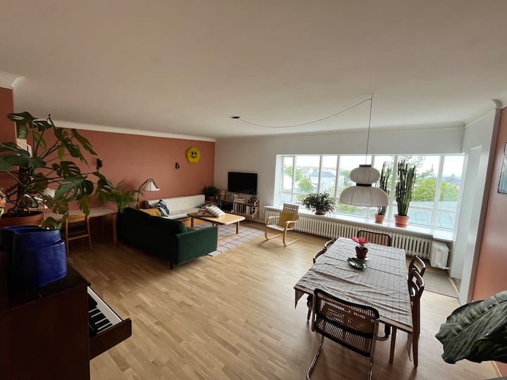 Scandi Style Penthouse In The Center - Reykjavik