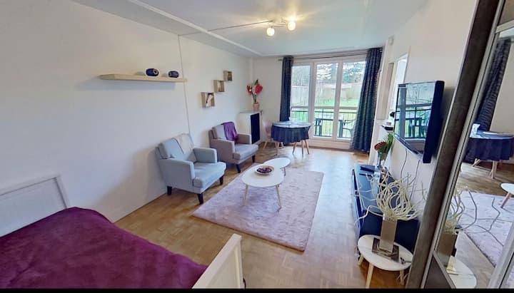 Grand Studio Avec Terrasse Et Jardin - Saint-Maur-des-Fossés