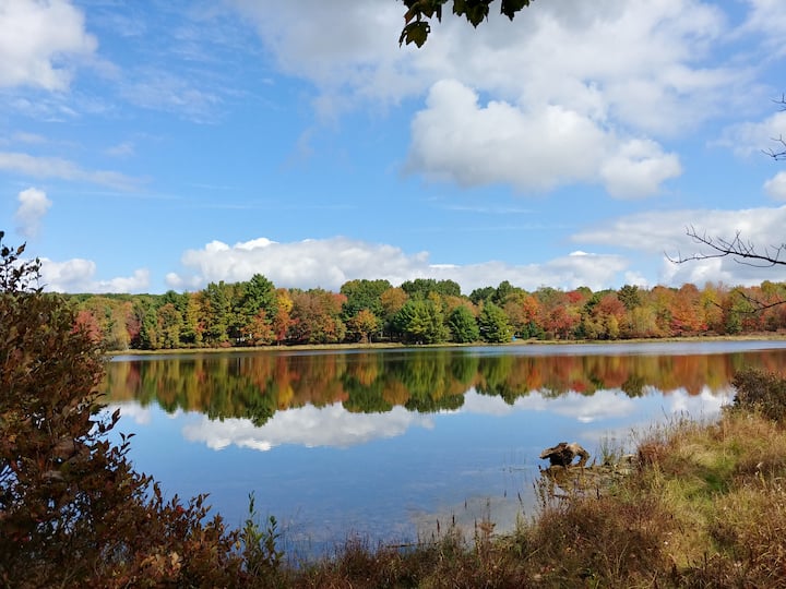 Experience Fall Foliage & Wildlife At The Hideout - Pocono Mountains, PA