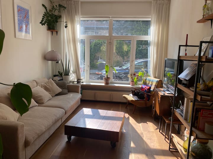 Petit Maison Avec Jardin En Amsterdam - Amsterdam