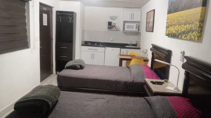 Loft 2 Ejecutivo Con Todas Las Comodidades - Saltillo