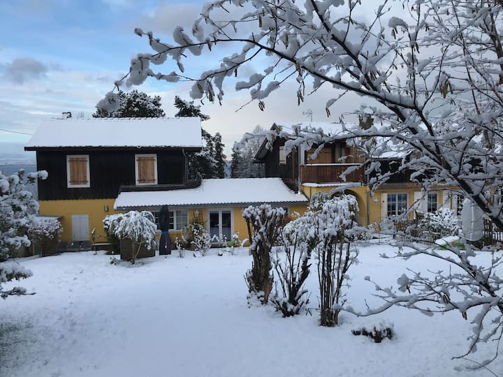 Le Pré Aux Vignes, Maison ÉVian-les-bains, Piscine - Évian-les-Bains