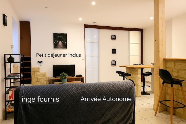 Confort Et Praticité A 300m Gare, Wi-fi, Petit-dej - Roanne