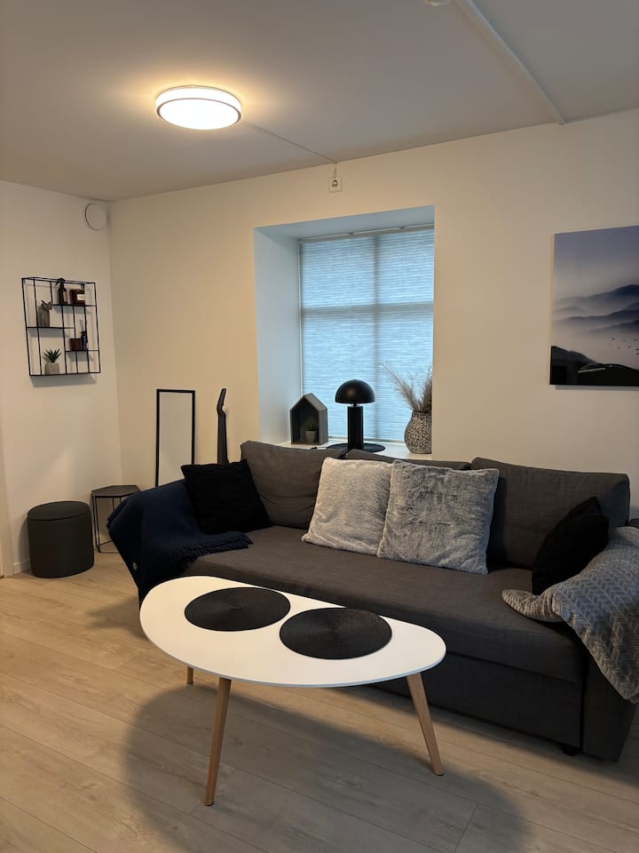 Sentral Leilighet Ved Grieghallen/togstasjonen - Bergen