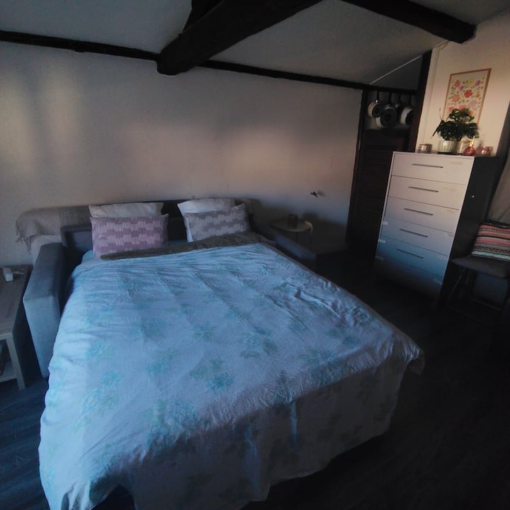 Cocon Solo Ou à 2. 15 Min De La Tour Eiffel En Rer - Meudon