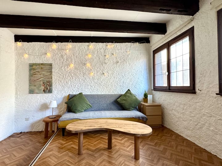 Appartement Cosy Dans Le Quartier De La Cathédrale - Estrasburgo