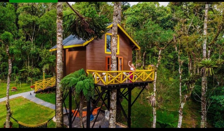 Casa Na ÁRvore Vista Magnífica Para As Montanhas - Brazil
