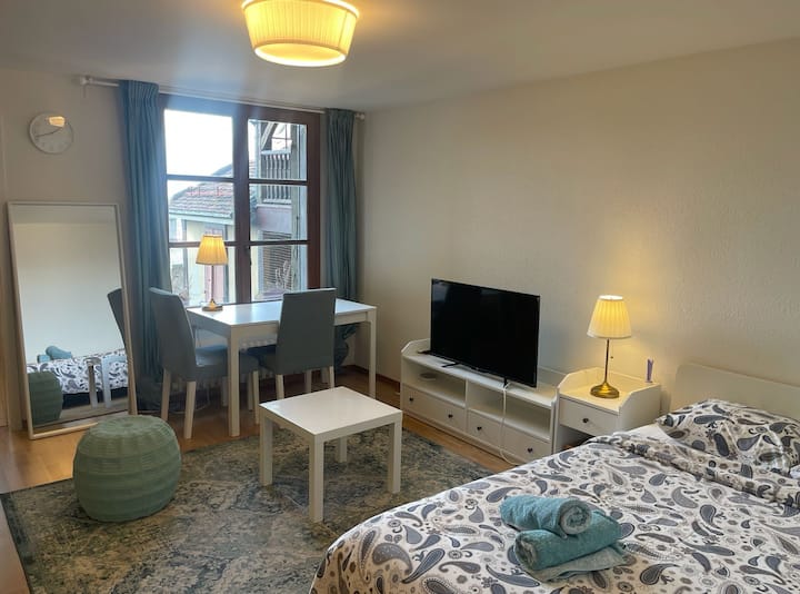 Old Town Geneva - Studio Apartment (18.4) - Geneva
