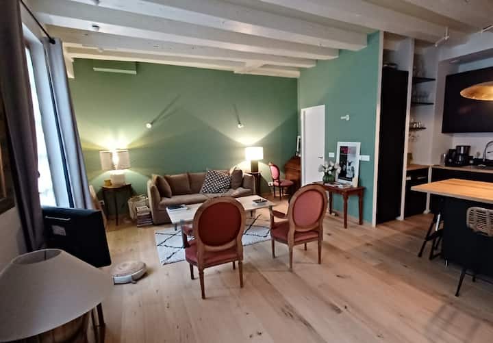 Charmant Appartement En Plein Cœur De Tours, 50m2. - Tours