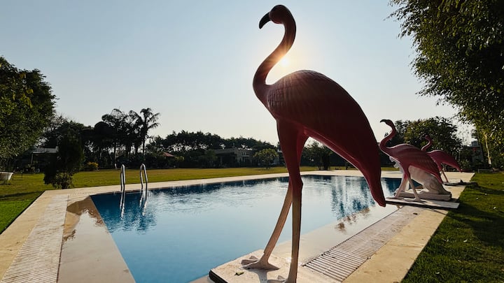 The Singh Farm - 4bhk Private Pool Farm House - Manesar
