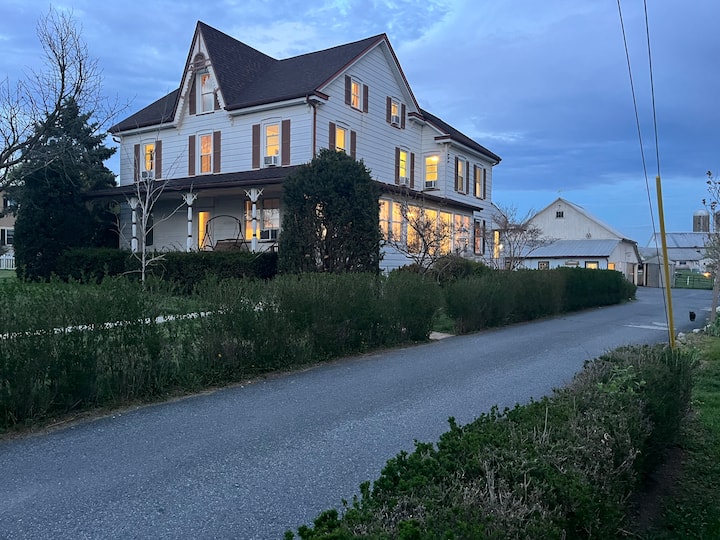 Amish Experience, Farm Views - Honey Brook, PA