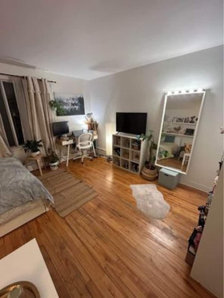 Comfy, Cozy And Clean Apartment @Villeray - Montreal