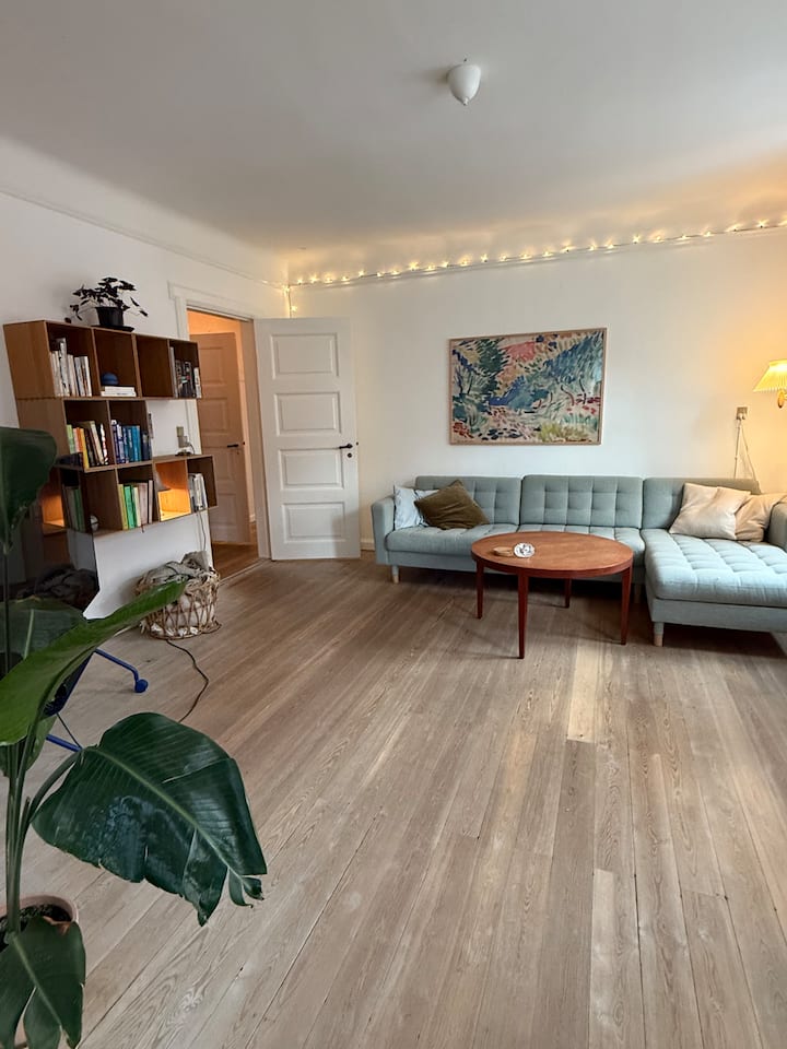 Stor Lys Lejlighed I ÅRhus - Aarhus