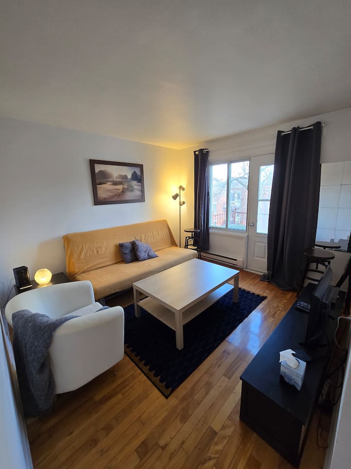 Beautiful 2 Bedroom Unit Steps From Subway Station - Montreal