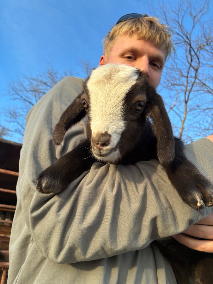 10 Minute Drive To I-35
Like Grandmas 80s Home - Pony Express Lake, MO