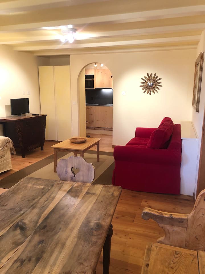 Cosy Apartment ,Wi-fi And Private Parking - Silvaplana