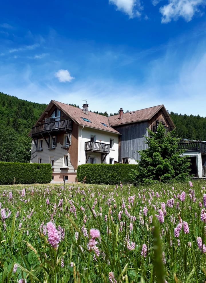 Appartement Chalet La Bresse - Xonrupt-Longemer