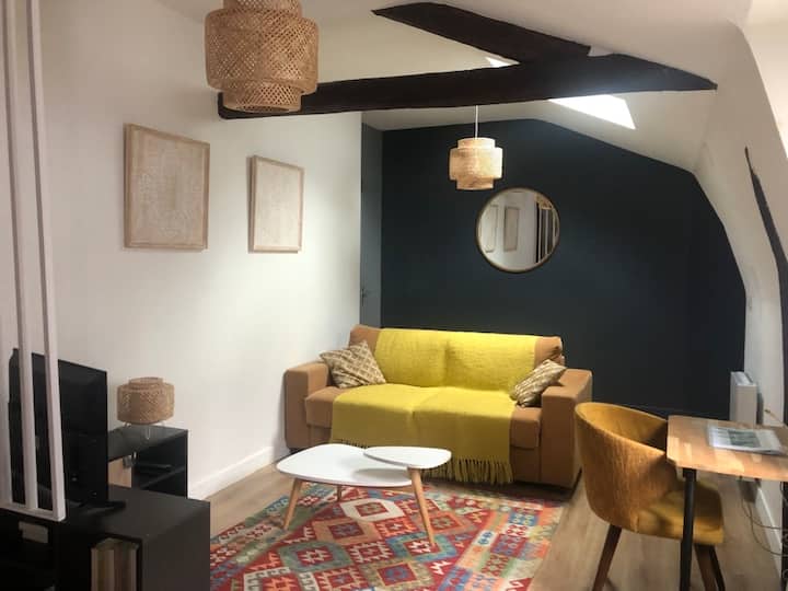 Appartement En Cœur De Ville - Angers